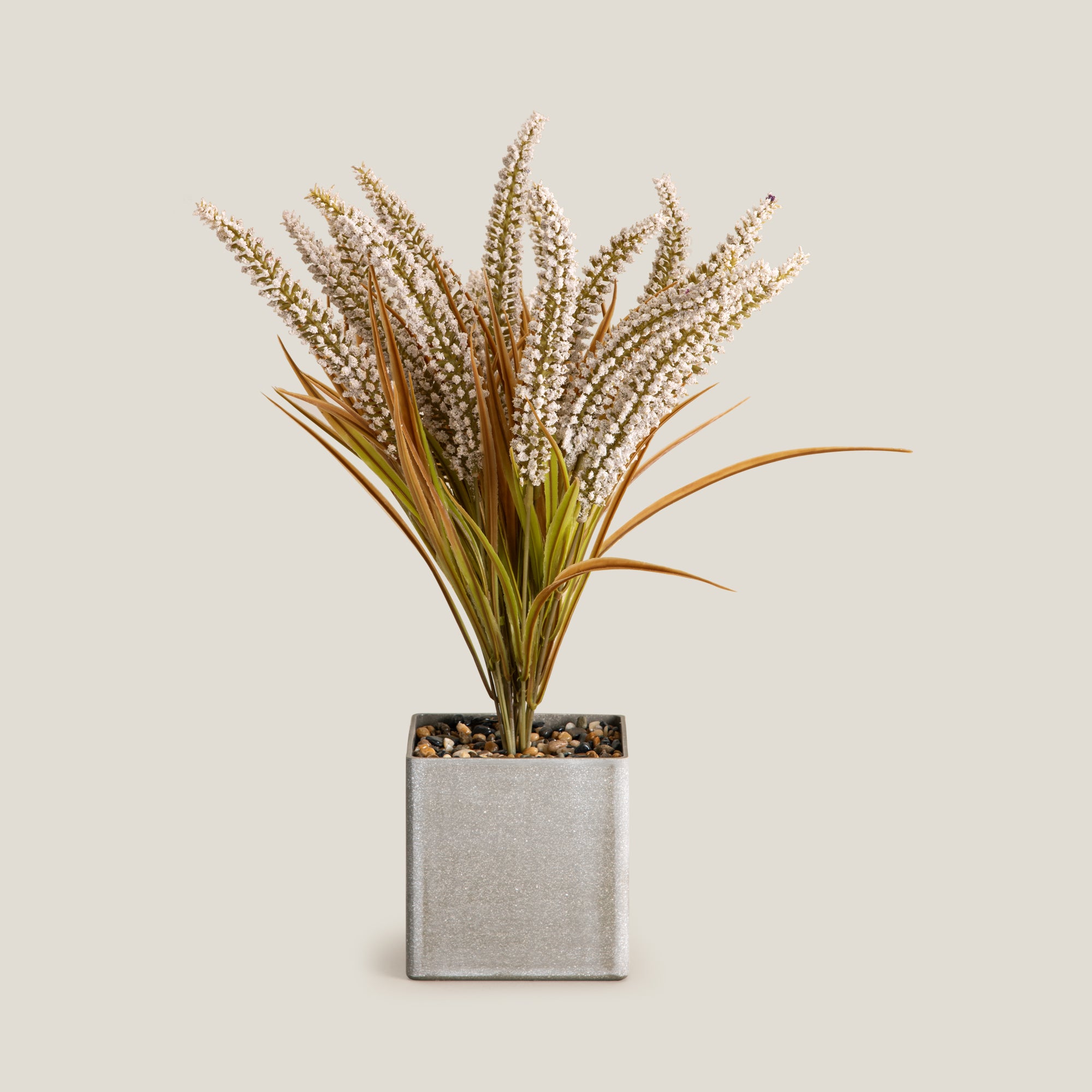White Wheatgrass Potted Plant – Address Home
