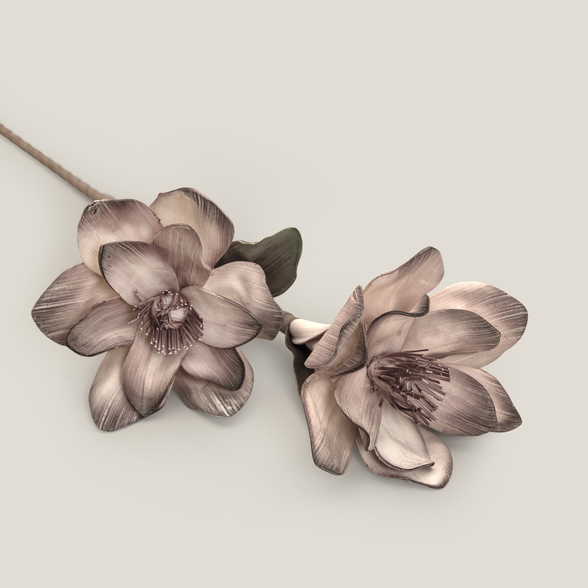 Buy Plum Cottonwood Foam Flower Online – Address Home